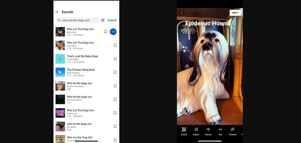 Everything You Need to Know About YouTube Shorts
